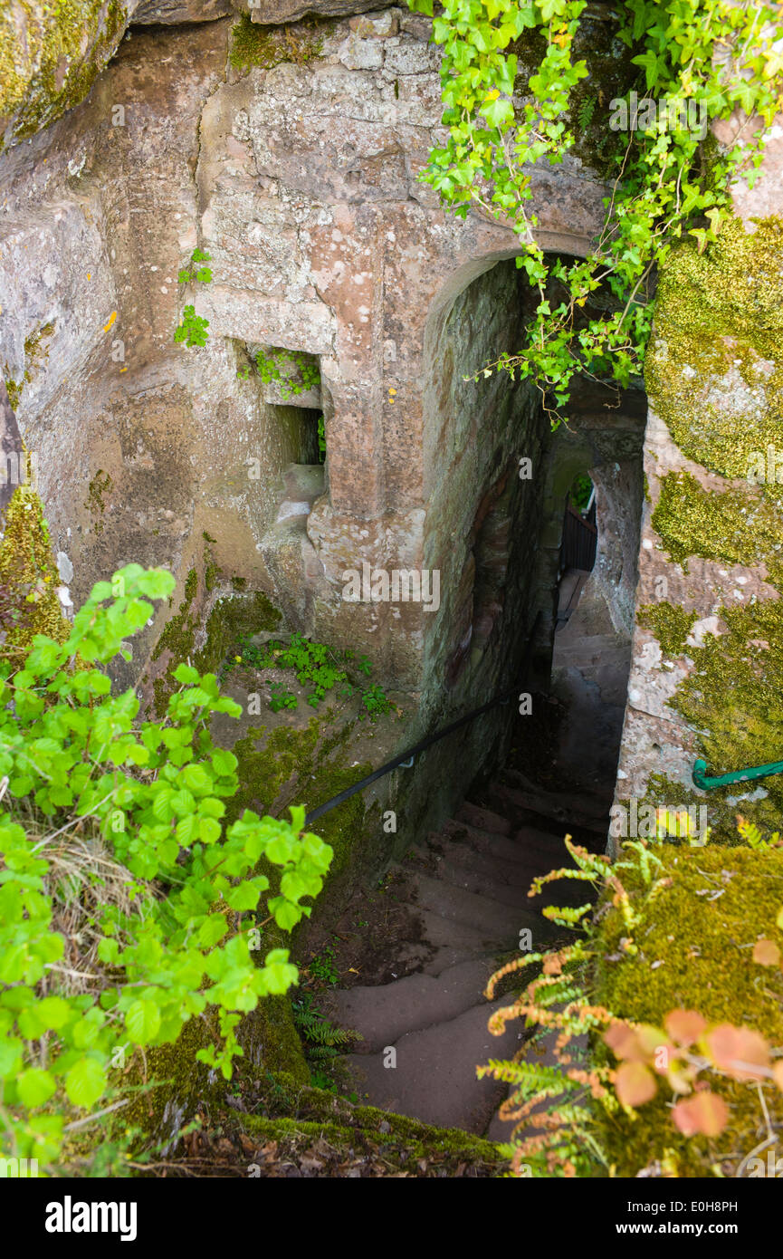 Falkenburg castle hi-res stock photography and images - Alamy