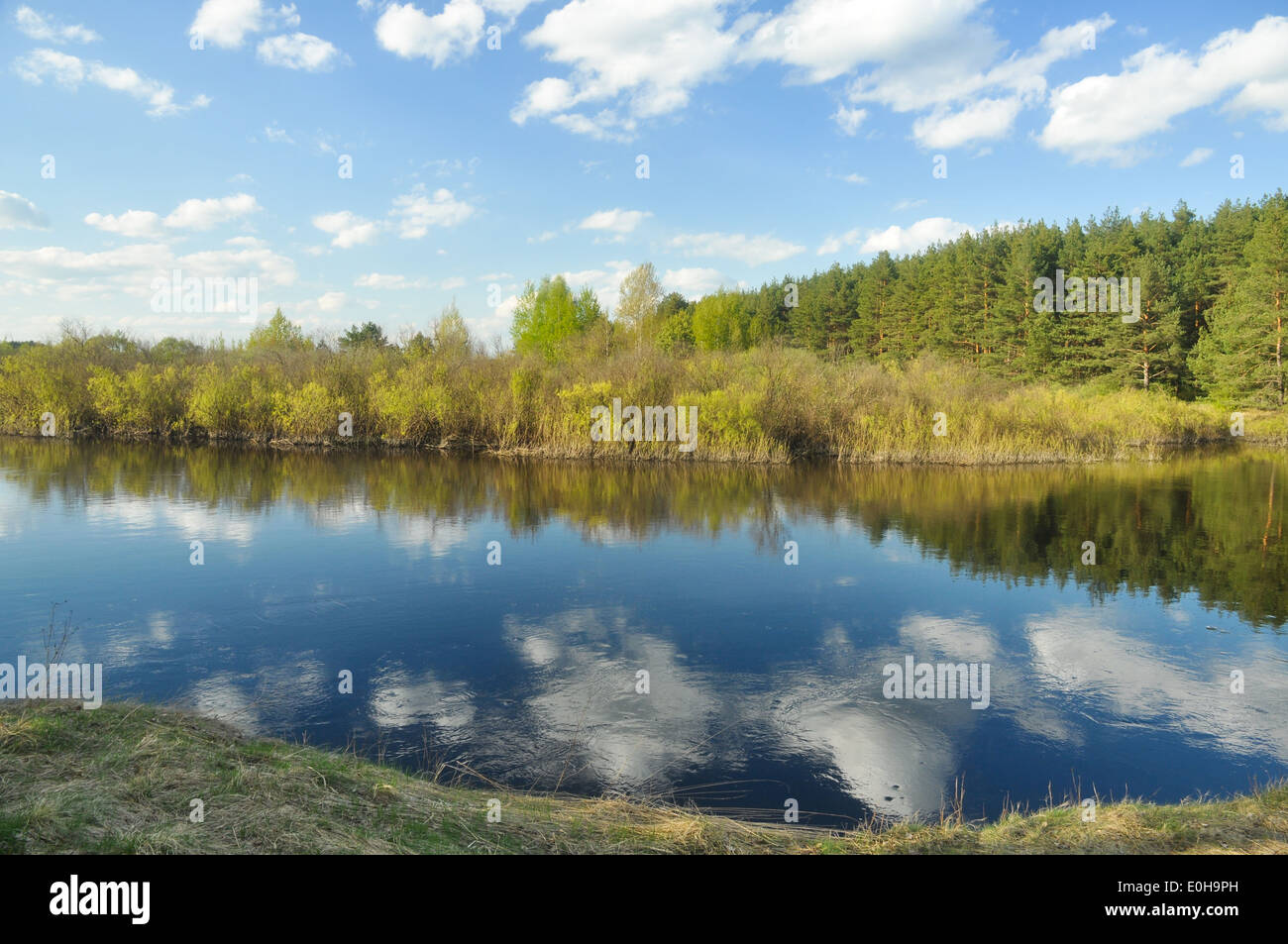 Spring landscape forest river. National Park "Meshchera" in the Ryazan ...
