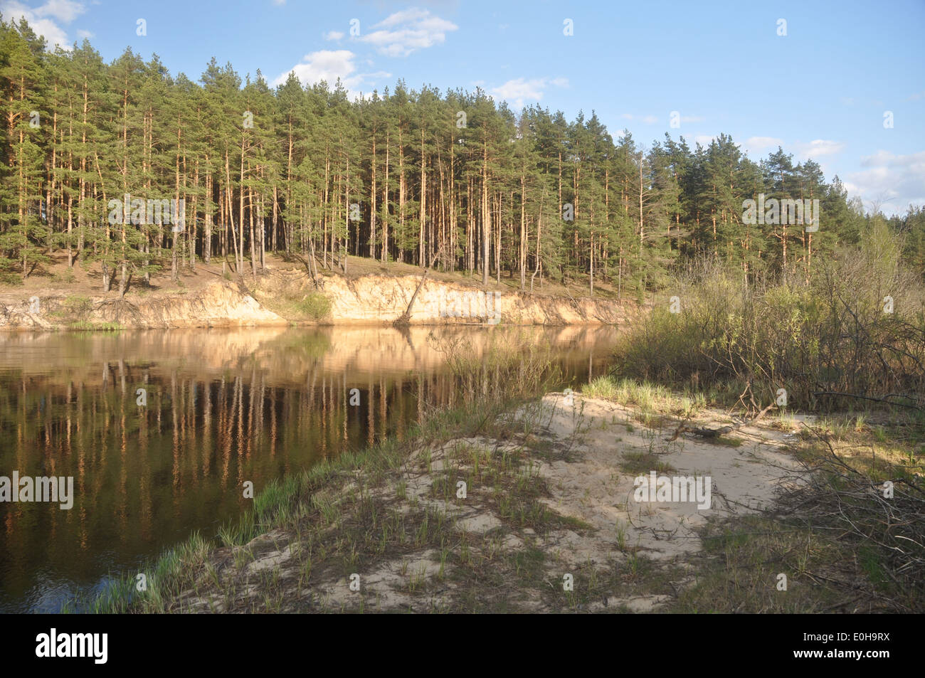 National Park "Meshchera" in the Ryazan region, the PRA river, Russia ...