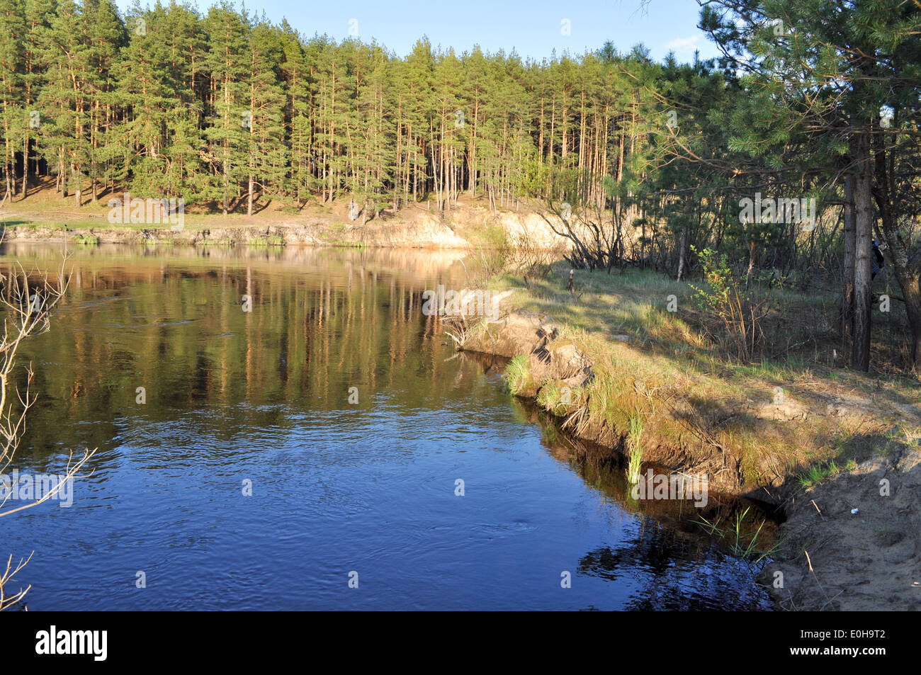 National Park "Meshchera" in the Ryazan region, the PRA river, Russia ...