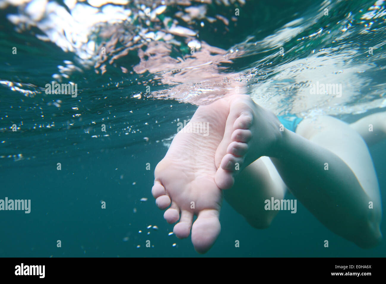 Snorkeling fish sea boat bocas del toro hi-res stock photography and ...