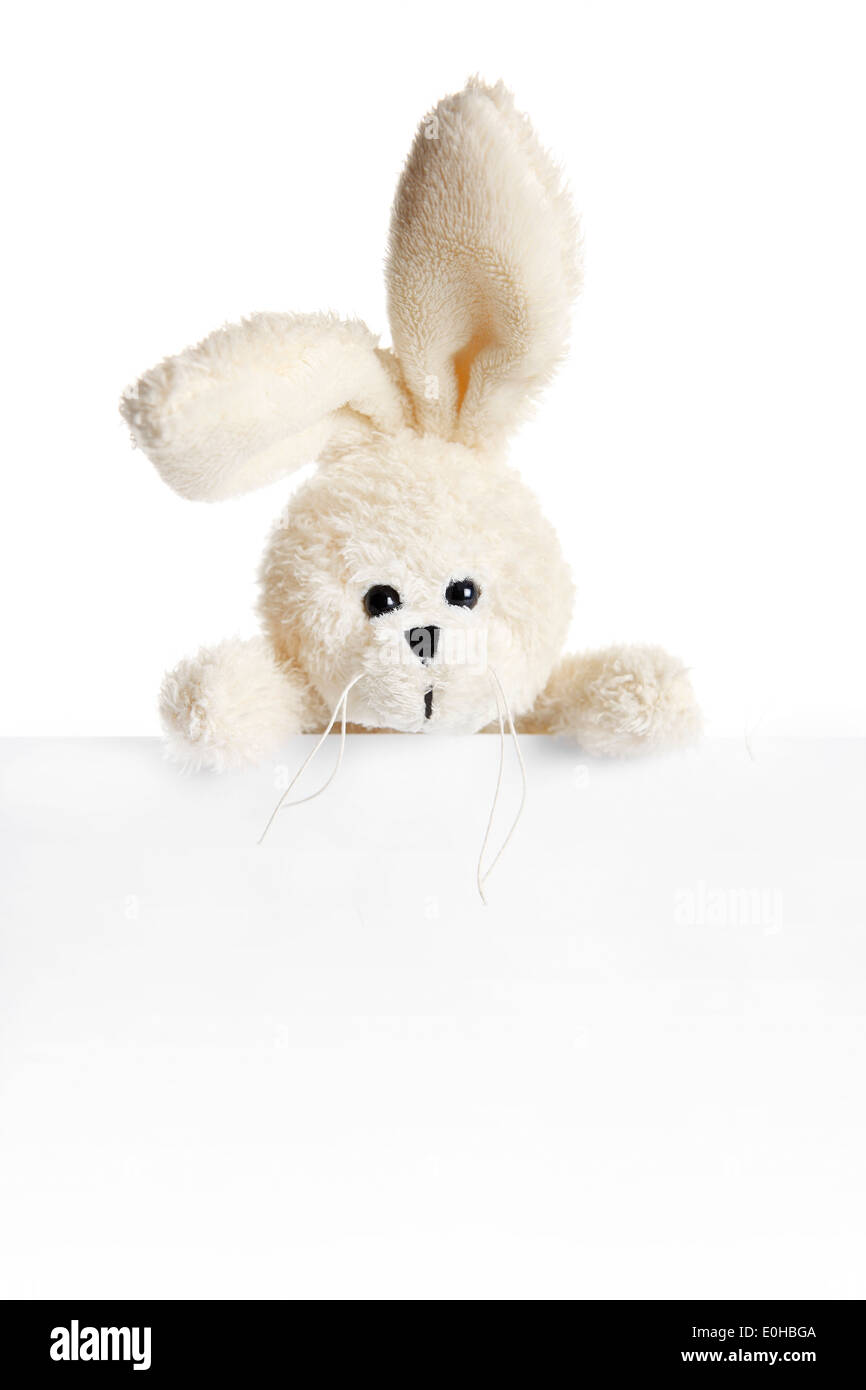 Stuffed rabbit ears look out from behind a white paper Stock Photo - Alamy