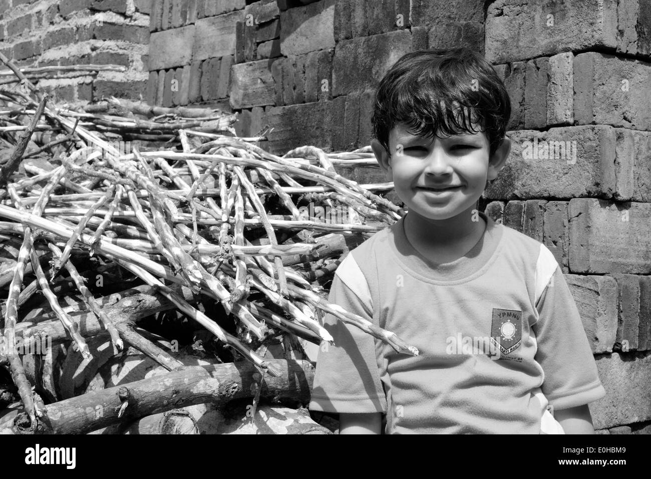 young local boy sitting on a pile of sticks and firewood east java ...