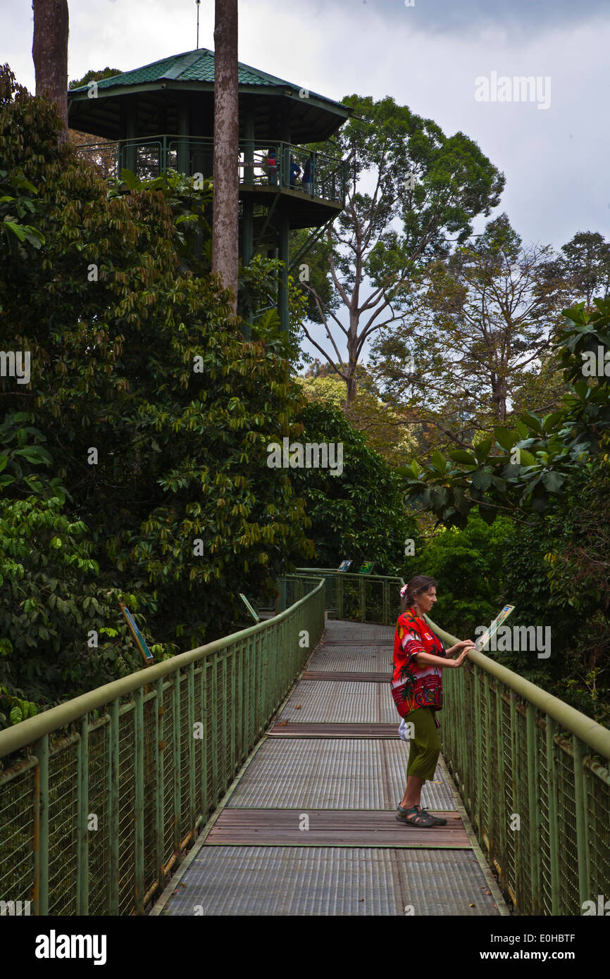 Viewing towers above the 90 foot high CANOPY WALKWAY at the RAINFOREST ...