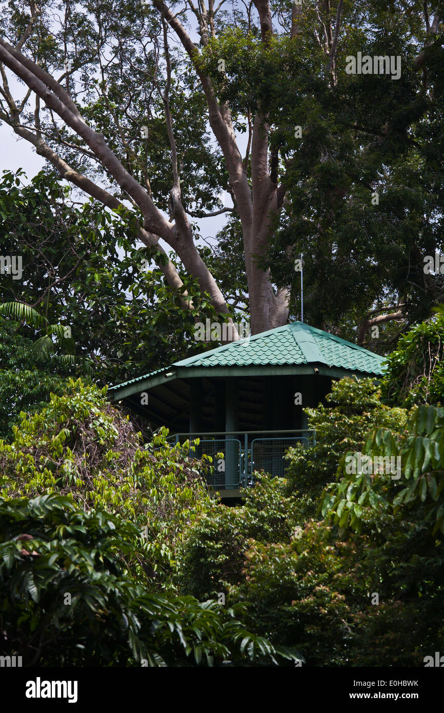 Viewing towers above the 90 foot high CANOPY WALKWAY at the RAINFOREST ...