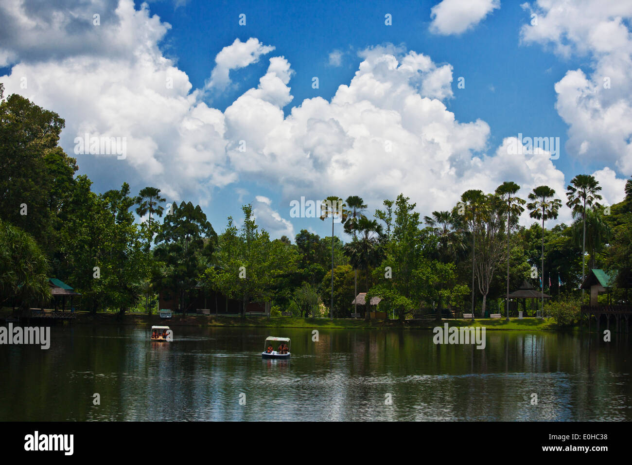 Rainforest center hi-res stock photography and images - Alamy