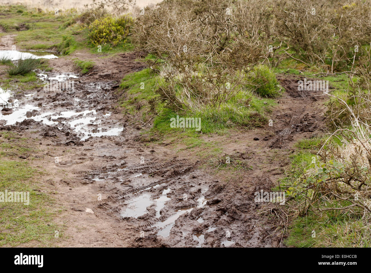 Mountain bike damage hi-res stock photography and images - Alamy