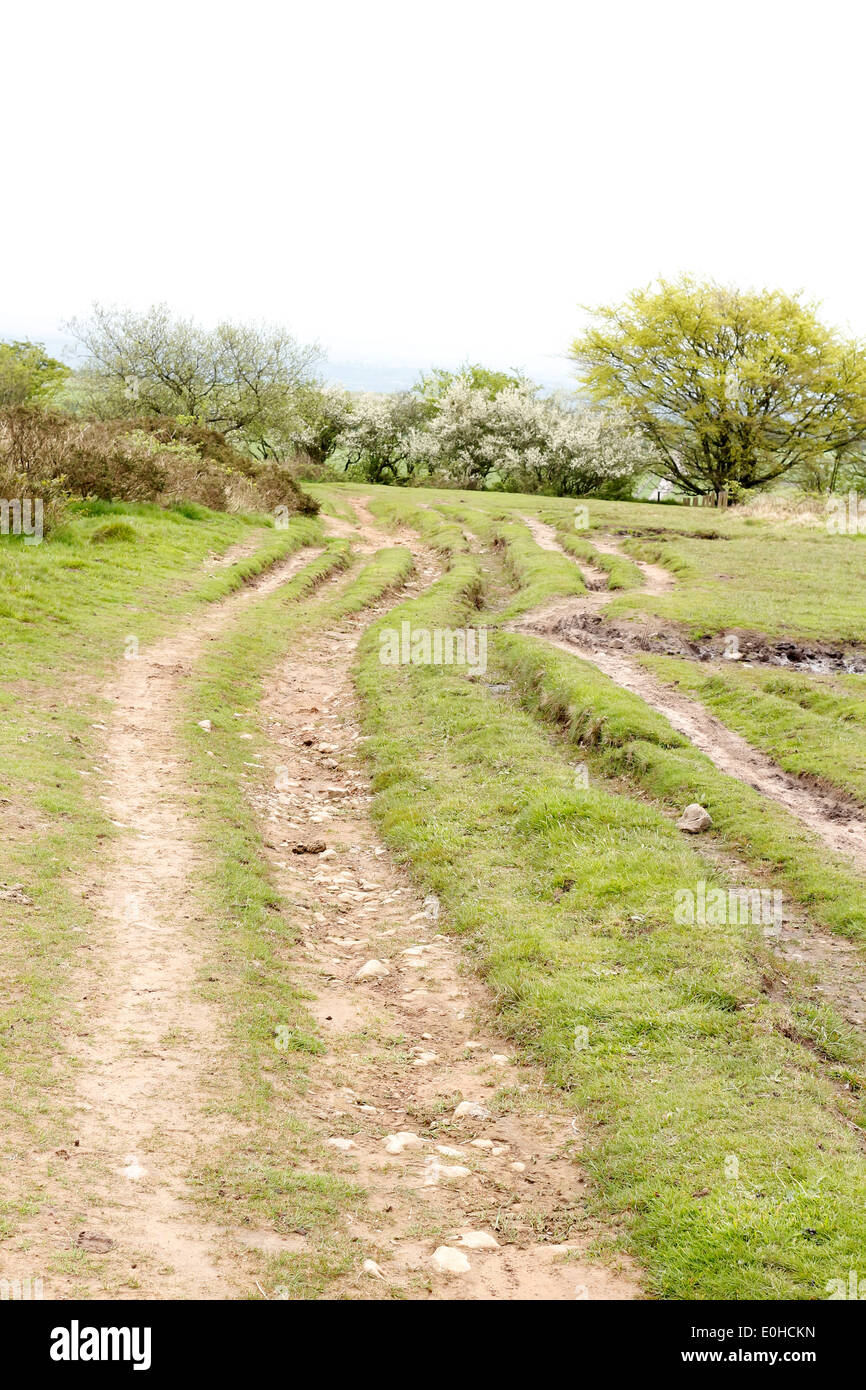Trail damage hi-res stock photography and images - Alamy