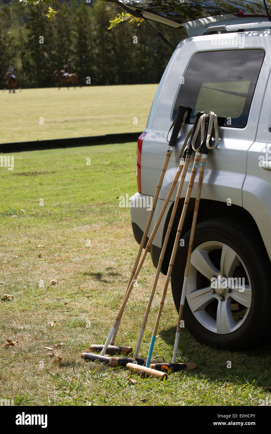 Polo mallet hi-res stock photography and images - Alamy