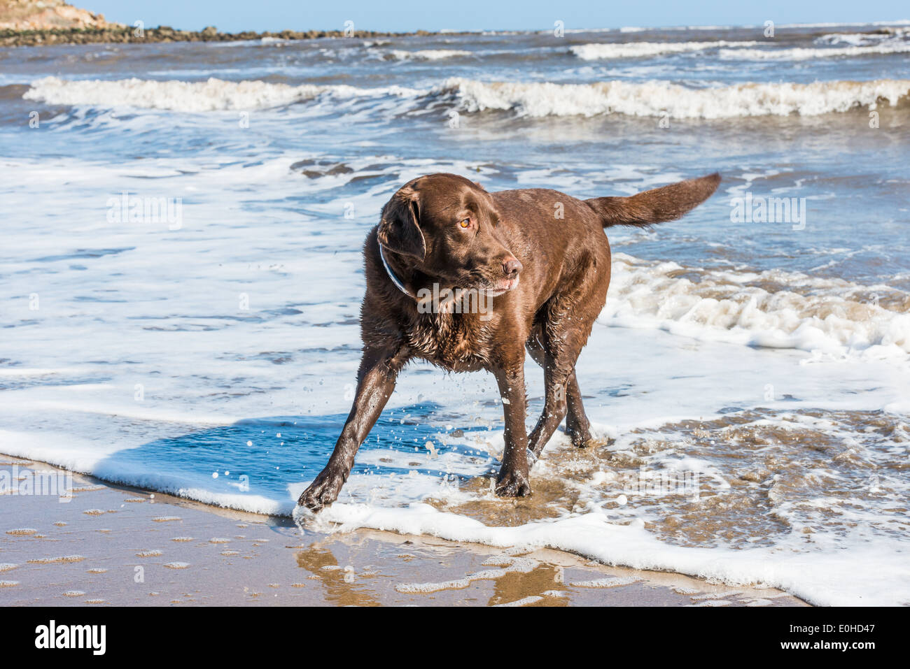 Choc Bay High Resolution Stock Photography and Images - Alamy