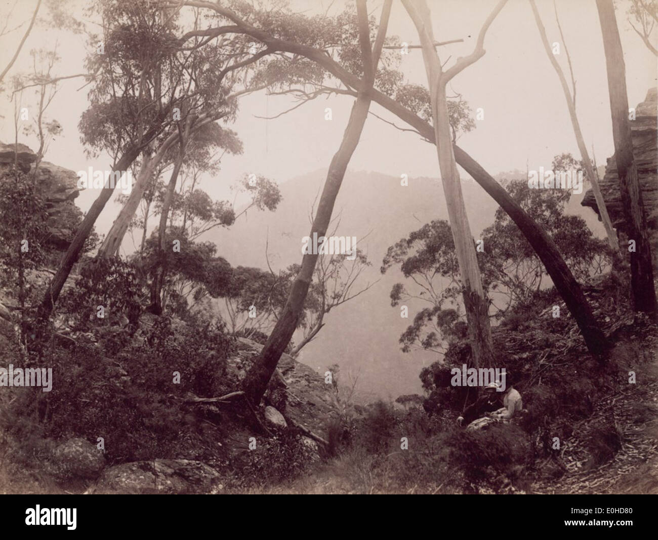 A photograph from around 1888 showing a couple seated on Mount Victoria ...