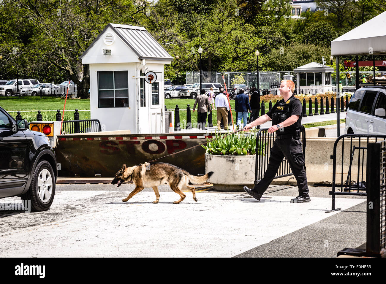 Us secret service dog hi-res stock photography and images - Alamy