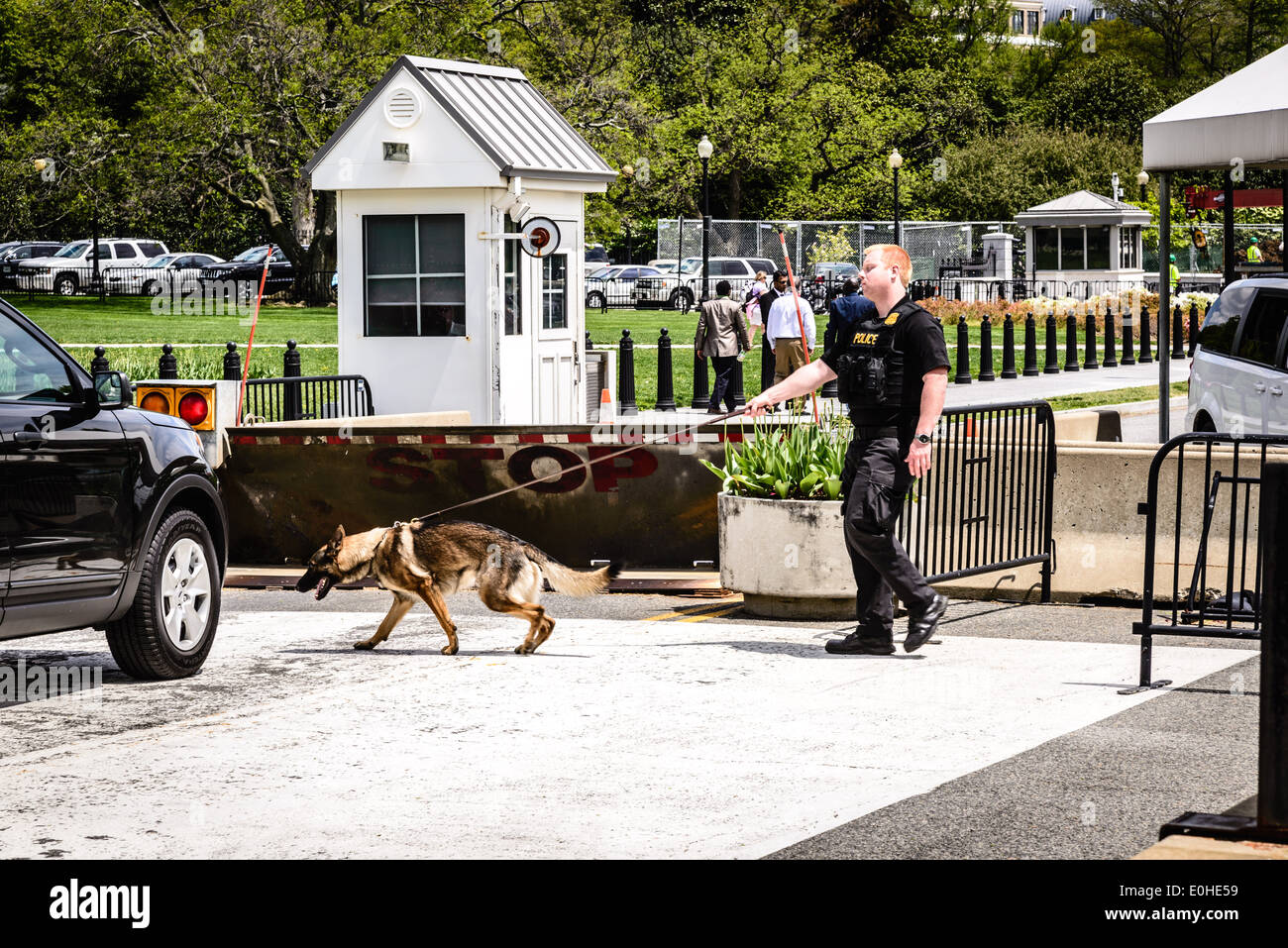 Us secret service dog hi-res stock photography and images - Alamy