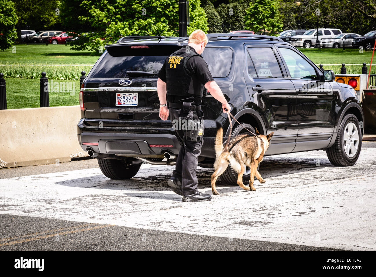 Us secret service dog hi-res stock photography and images - Alamy
