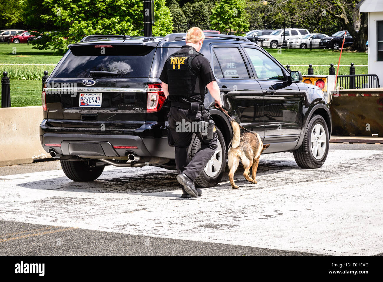 Us secret service dog hi-res stock photography and images - Alamy
