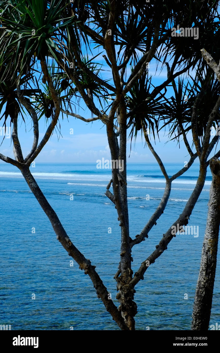 Popular beach at east java hi-res stock photography and images - Alamy