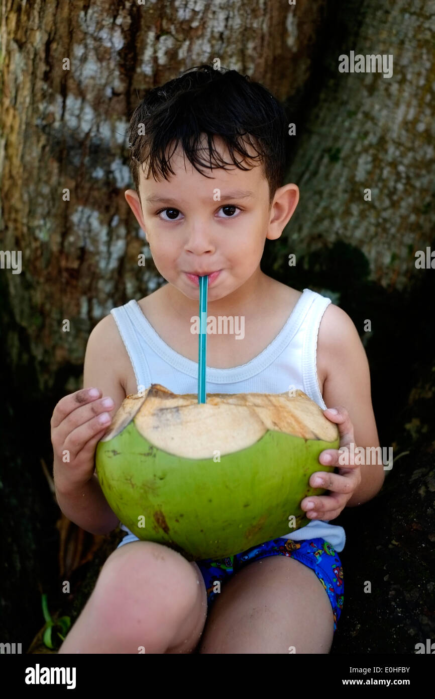 young boy drinking from fresh coconut by the beach and sea at ...