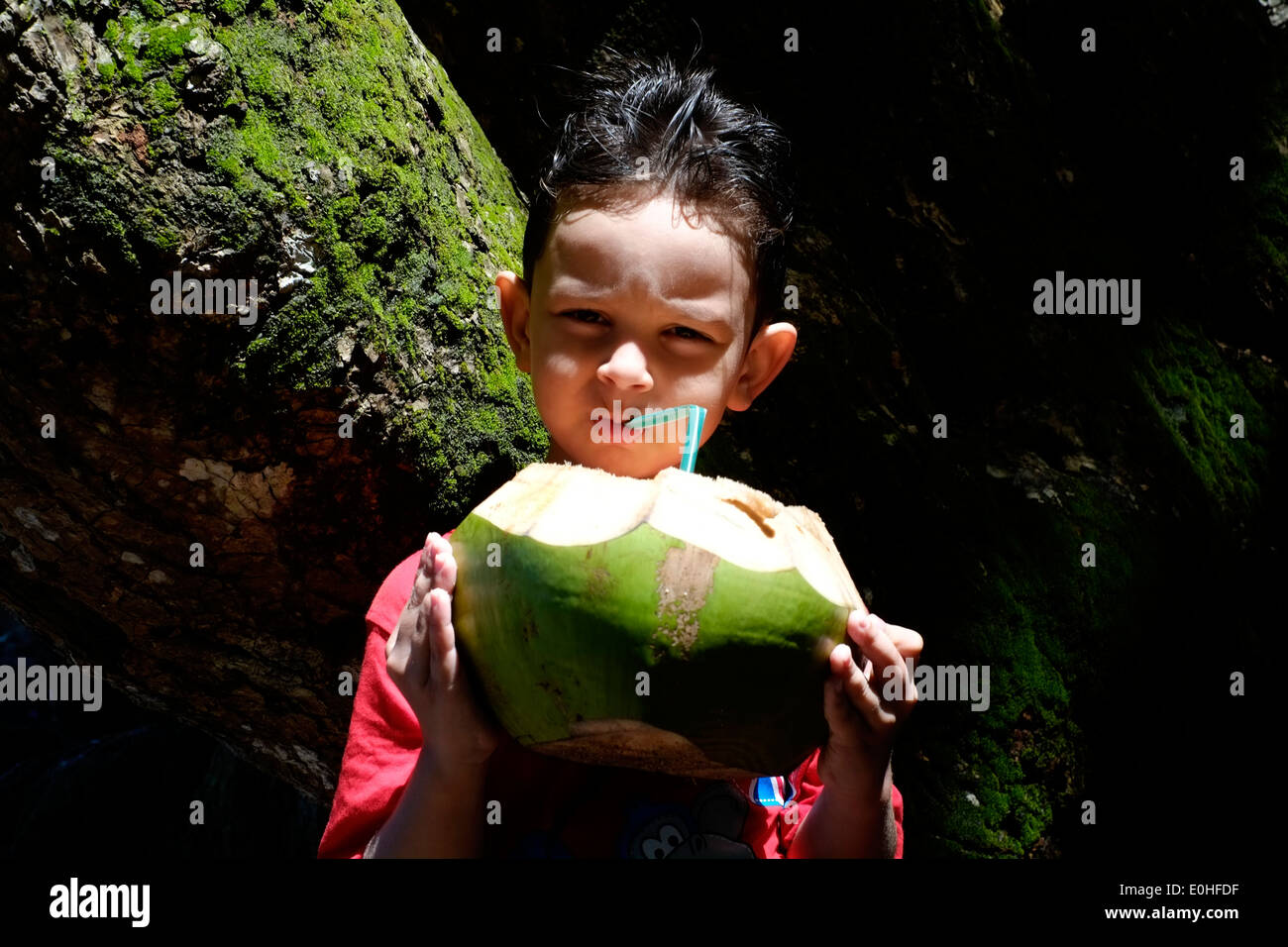 young boy drinking from fresh coconut by the beach and sea at ...
