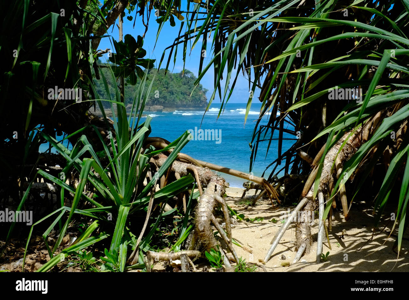 the beach and sea at balekambang east java indonesia Stock Photo - Alamy
