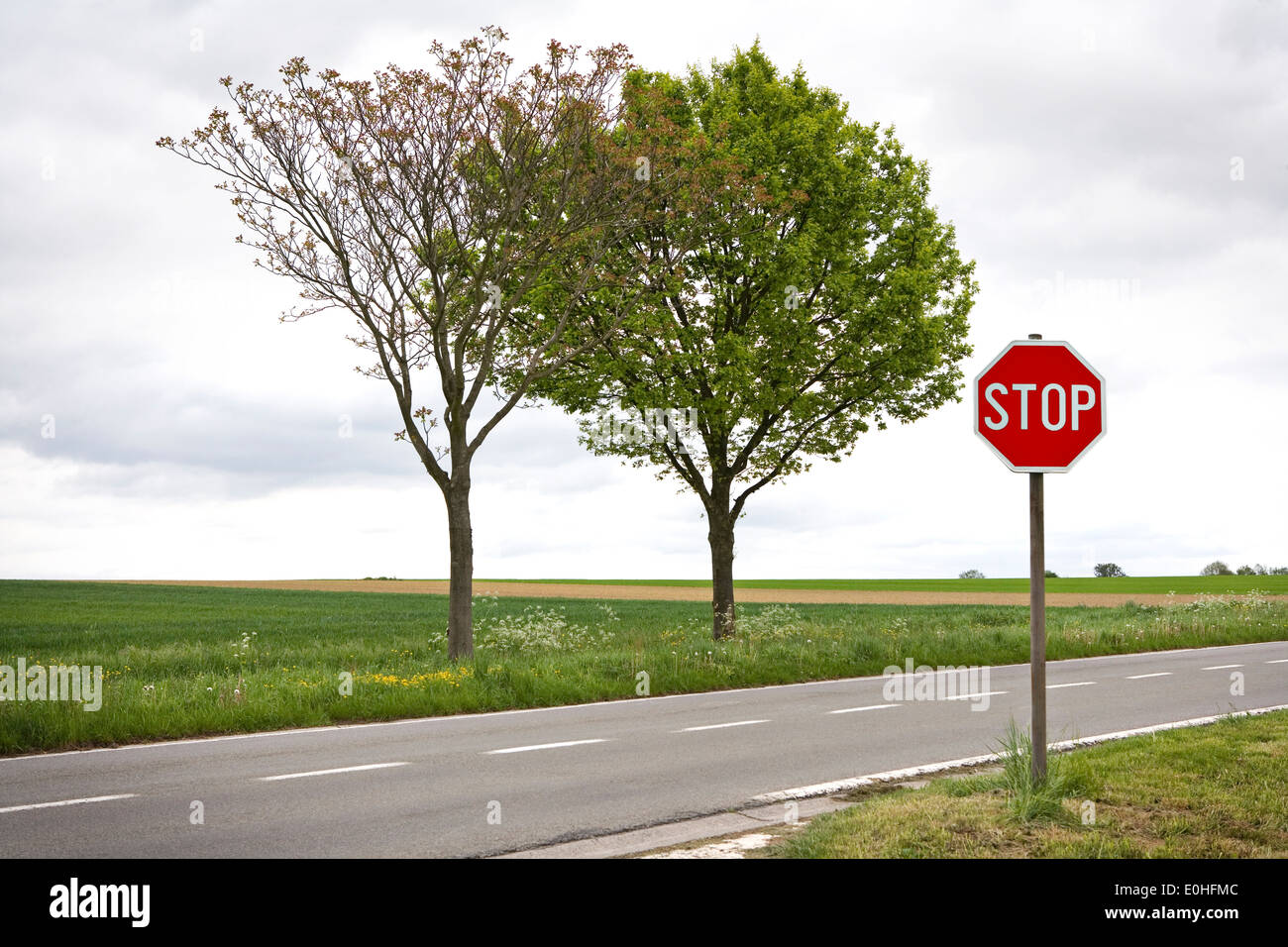 Road side stop hi-res stock photography and images - Alamy