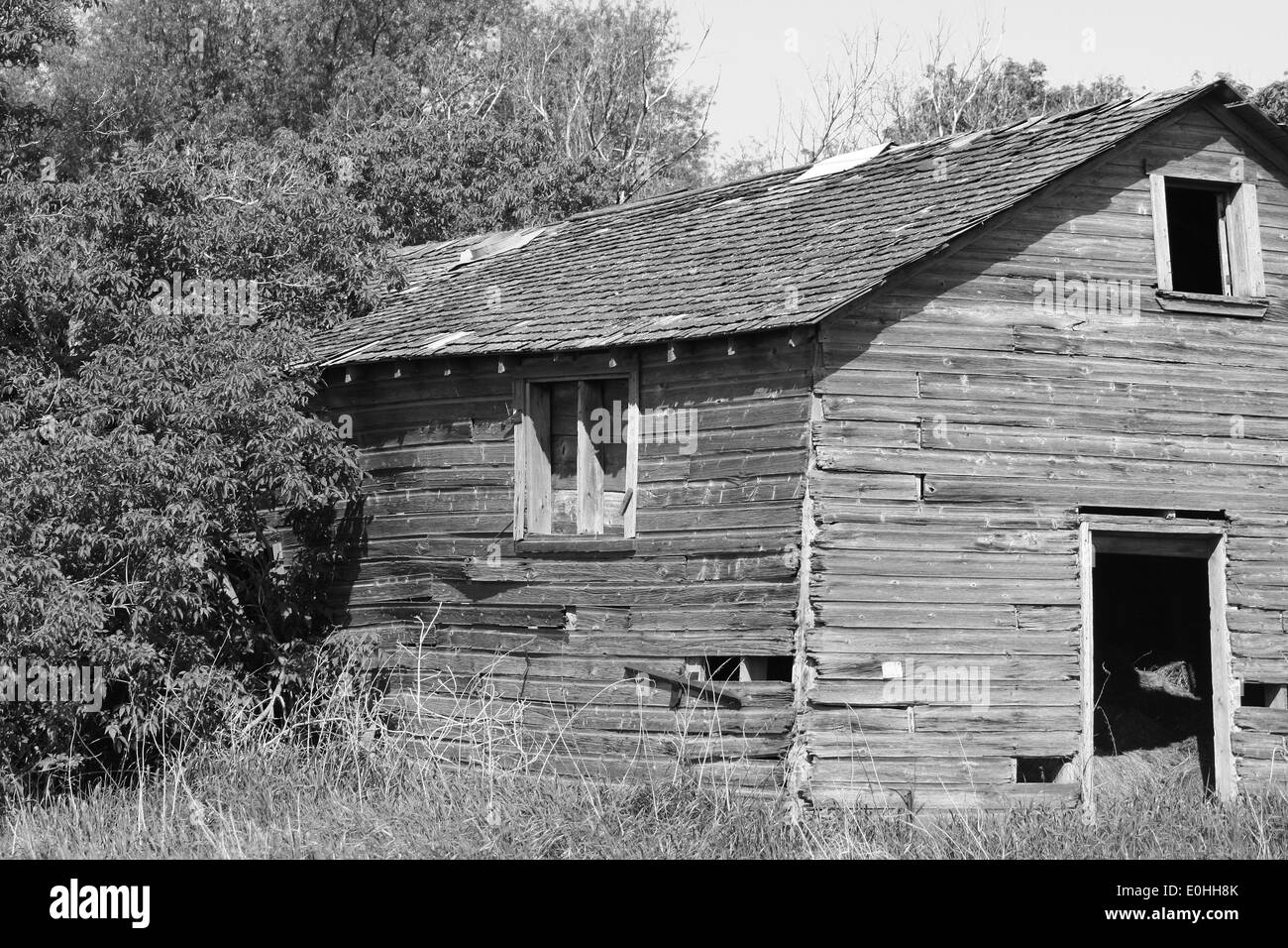 An abandoned wooden barn falling to ruin on a farm near Morden ...