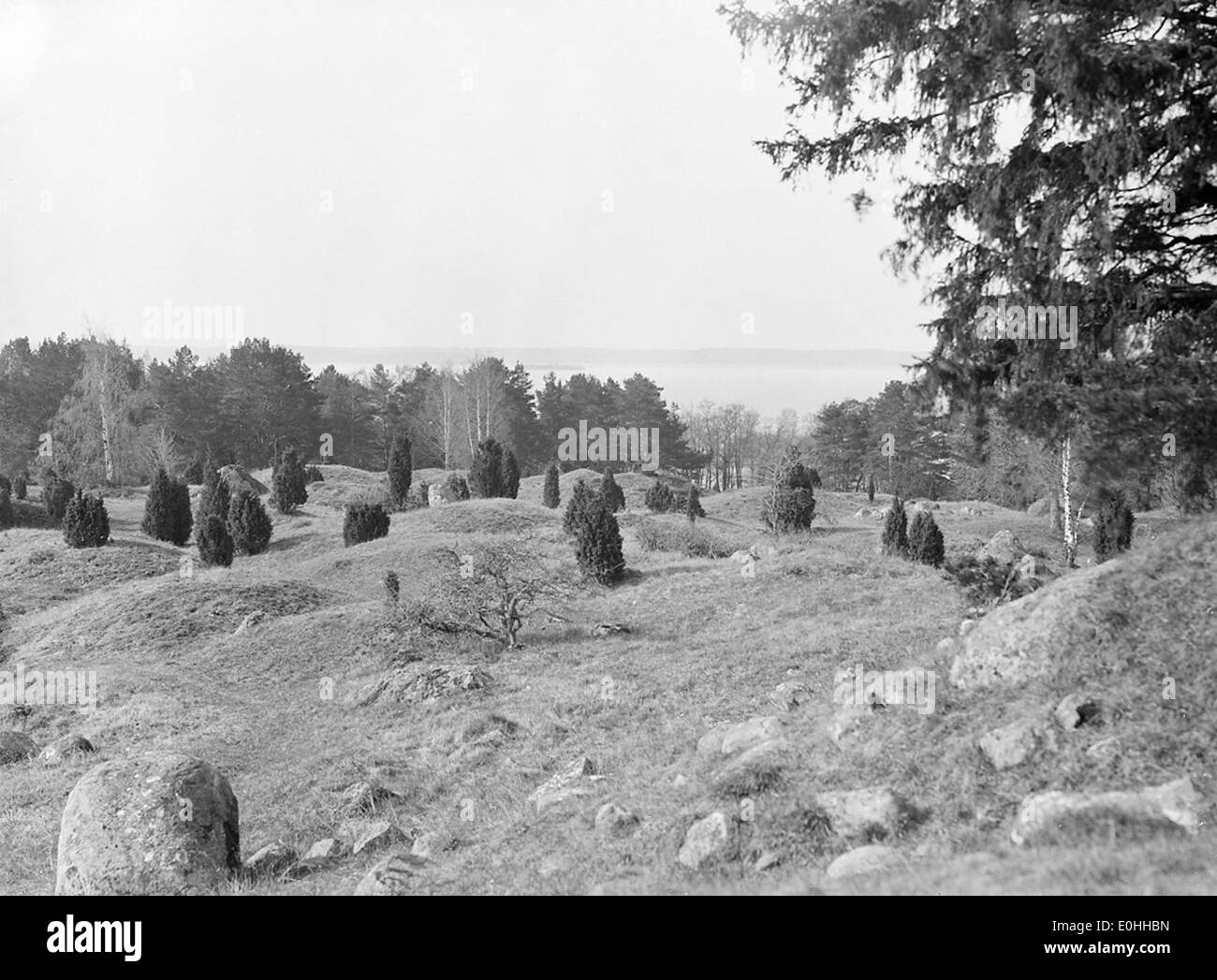 Viking burial site on Black and White Stock Photos & Images - Alamy