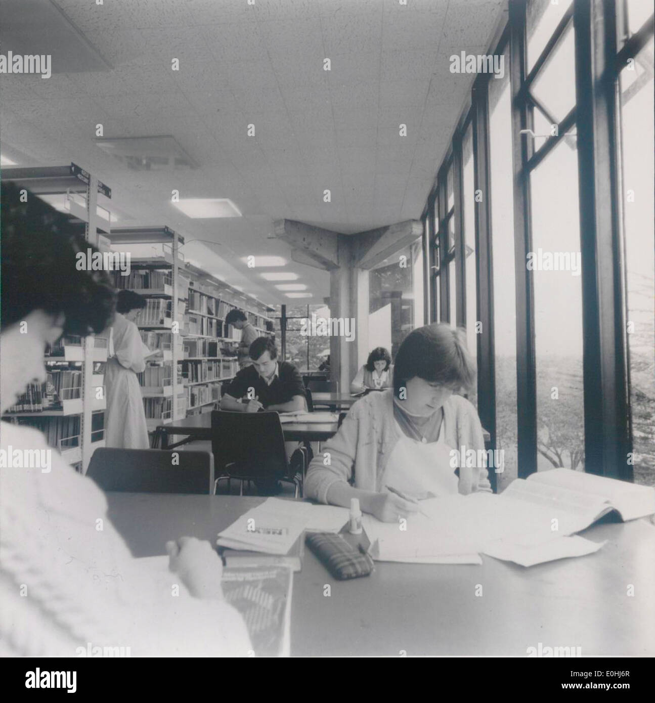 This image shows students studying in the library at the University of ...