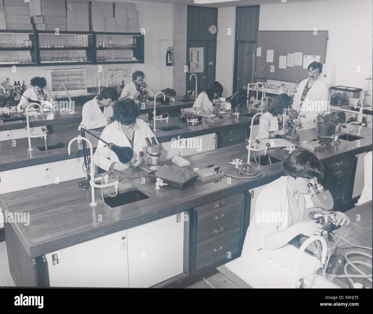A photograph showing students in a science lab at Thomond College of ...