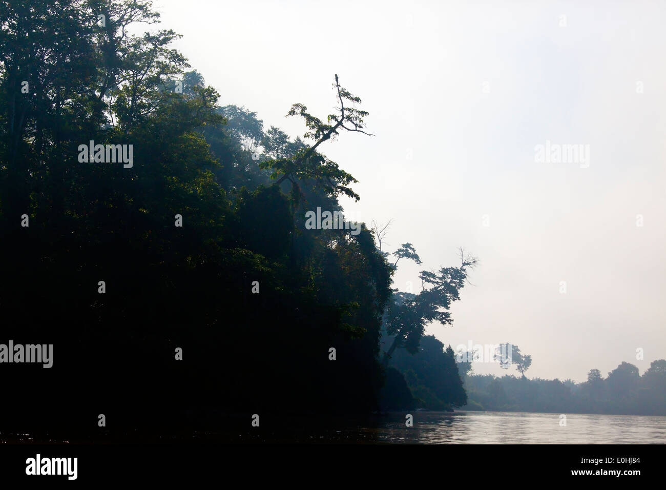 The KINABATANGAN RIVER WILDLIFE SANCTUARY is home to many wildlife ...