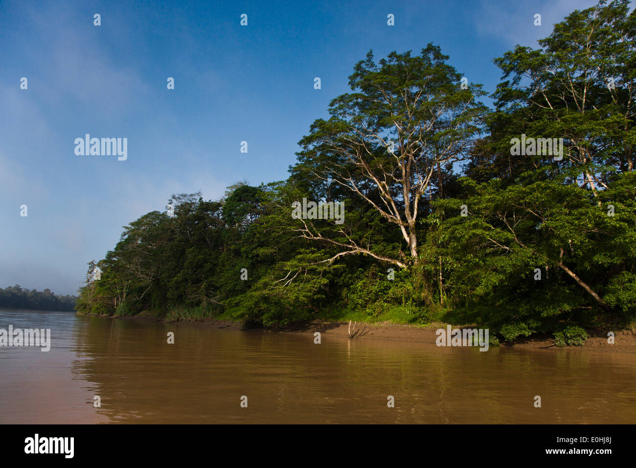 The KINABATANGAN RIVER WILDLIFE SANCTUARY is home to many wildlife ...