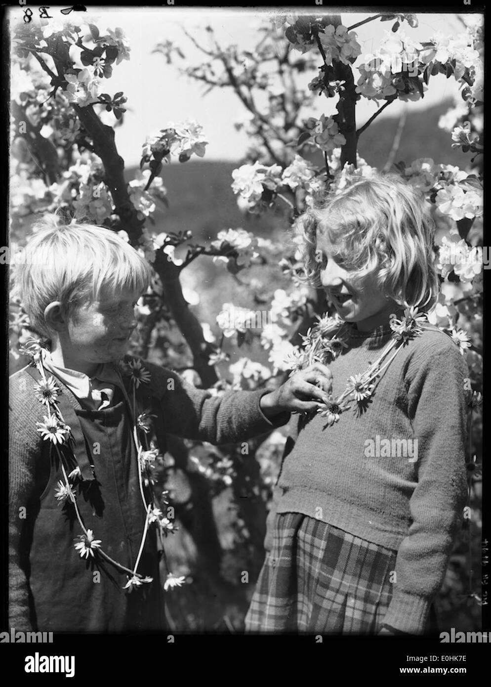 This photograph by Frank Hurley captures children wearing daisy chains ...