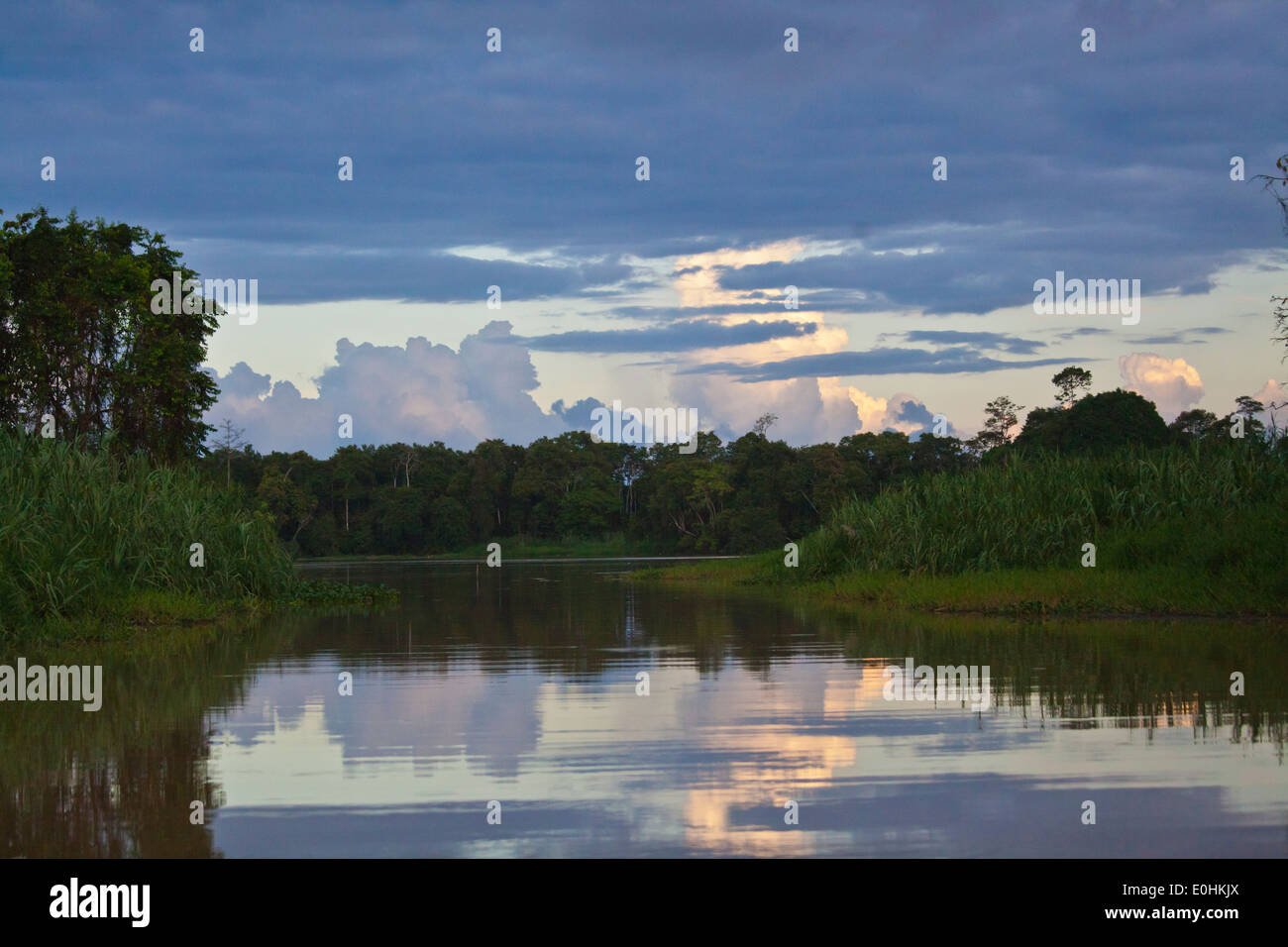 The KINABATANGAN RIVER WILDLIFE SANCTUARY is home to many wildlife ...
