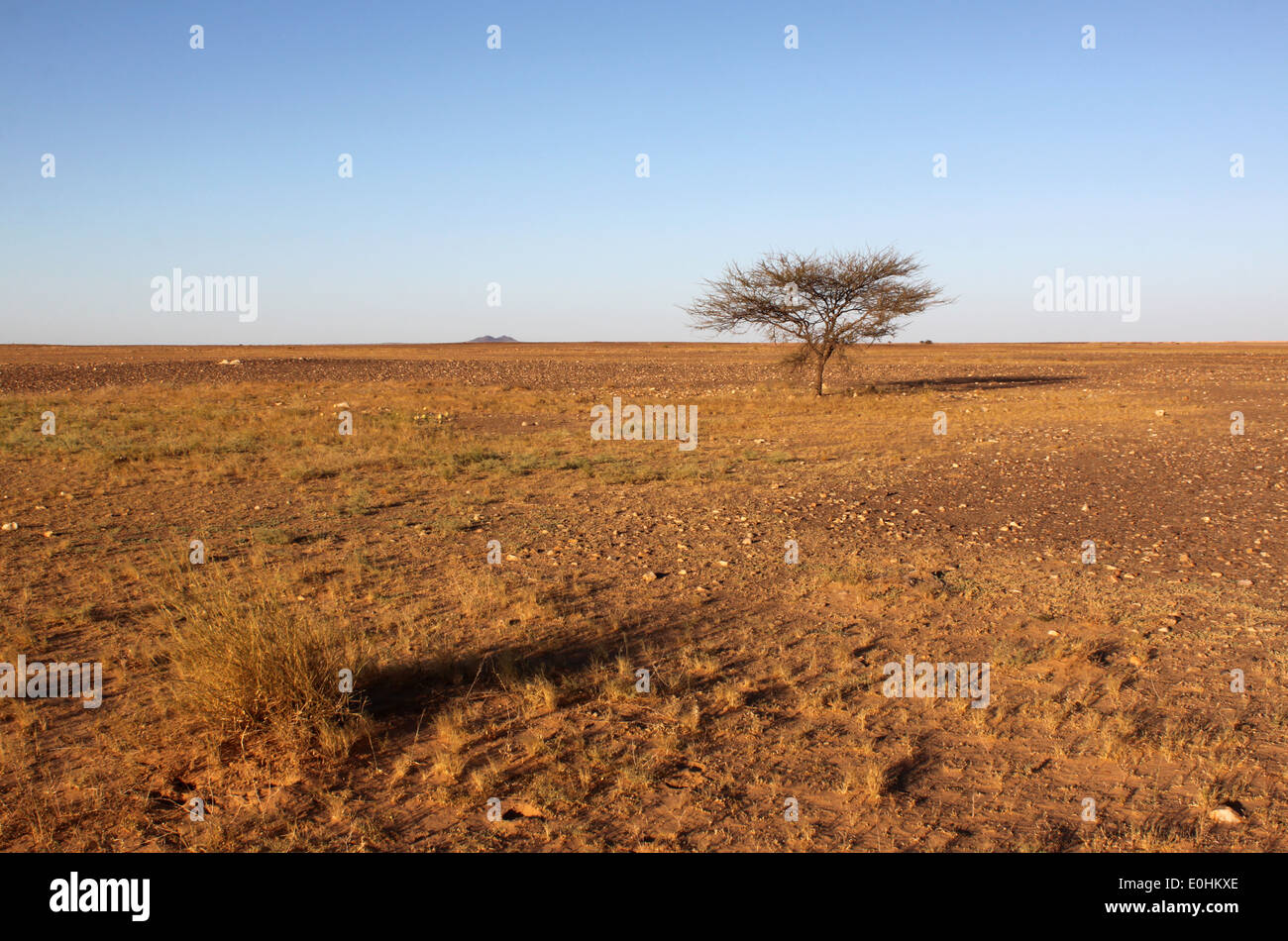 Mauritania desert hi-res stock photography and images - Alamy