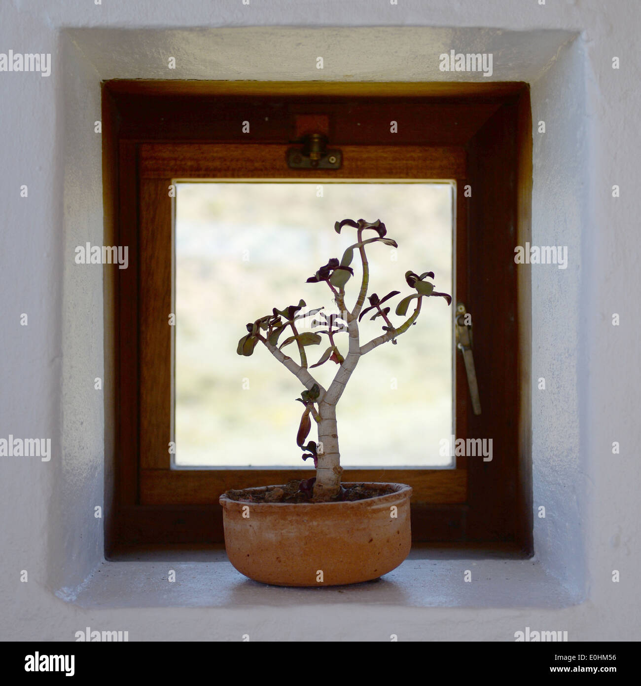 Interior shots of a small safari hut Stock Photo - Alamy