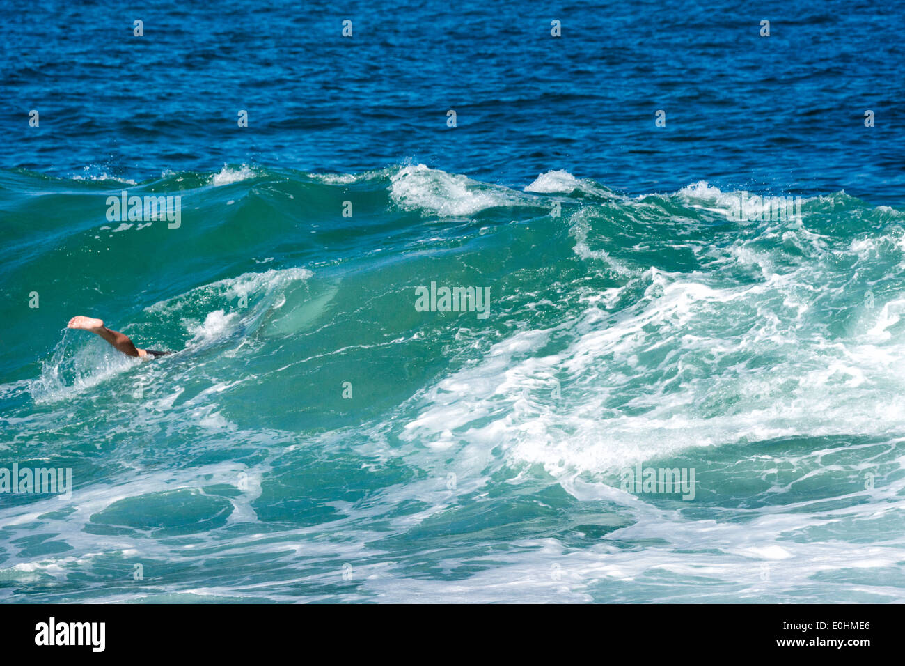 Fallen surfer with his leg sticking out of the water, surfing beach ...