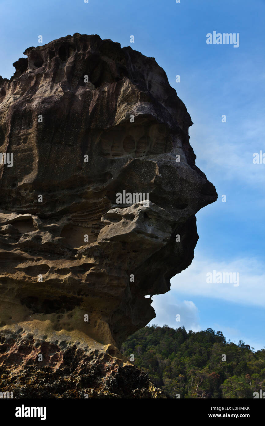 A SEASTACK makes a monkey face in BAKO NATIONAL PARK which is located ...