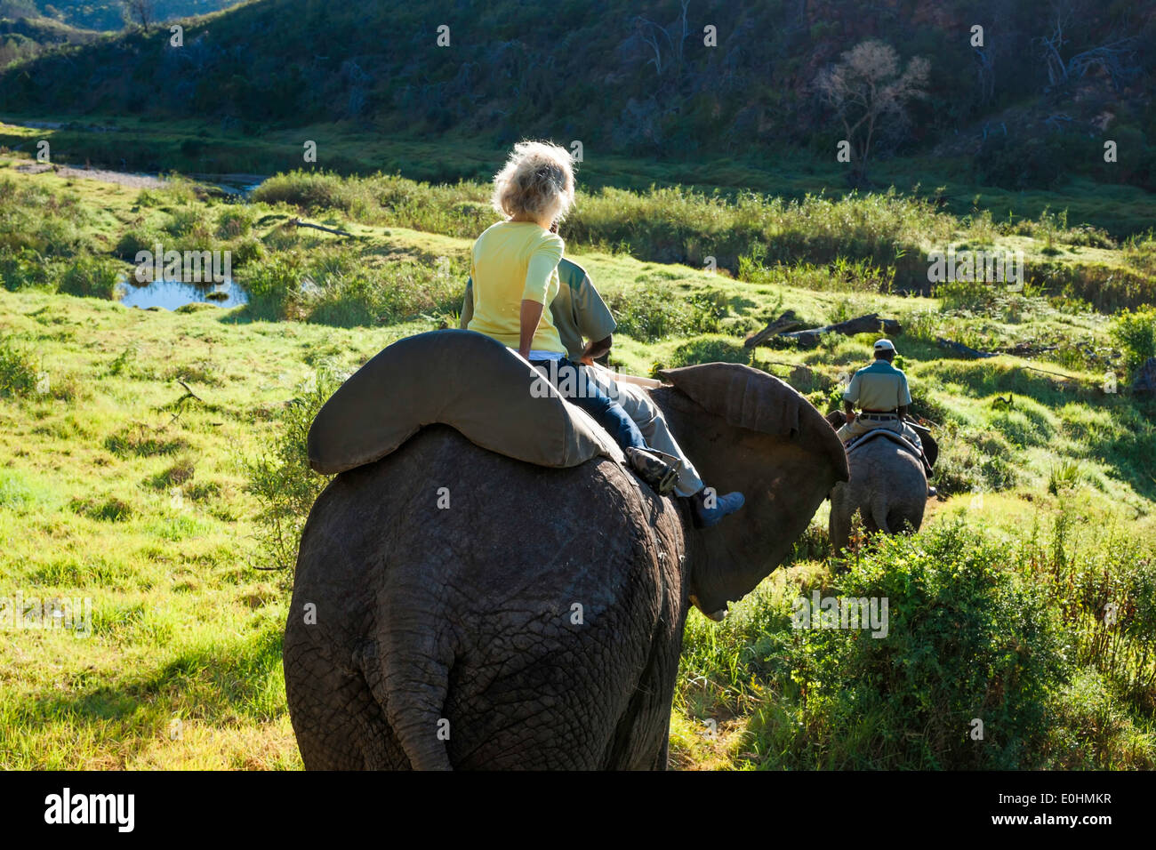 Woman riding elephant hi-res stock photography and images - Alamy