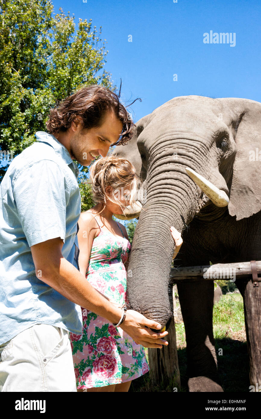 Close encounter with an elephant hi-res stock photography and images ...