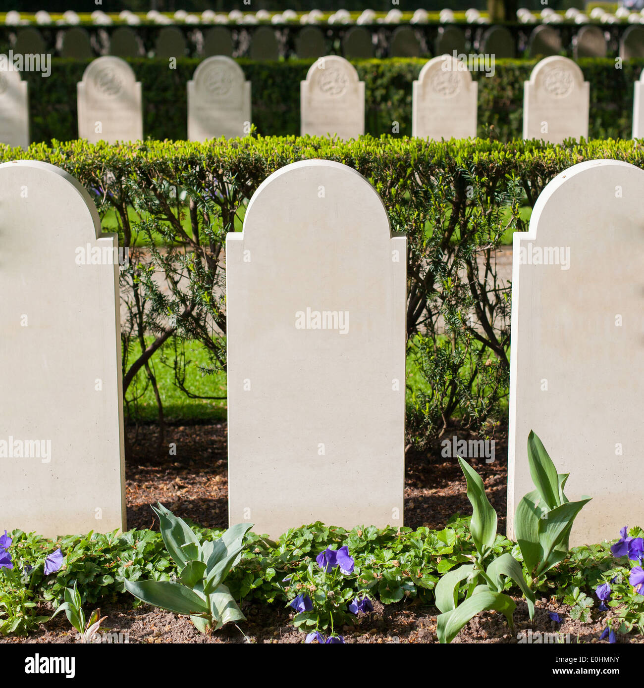 Rows of tombstones, old graves from World War II Stock Photo - Alamy