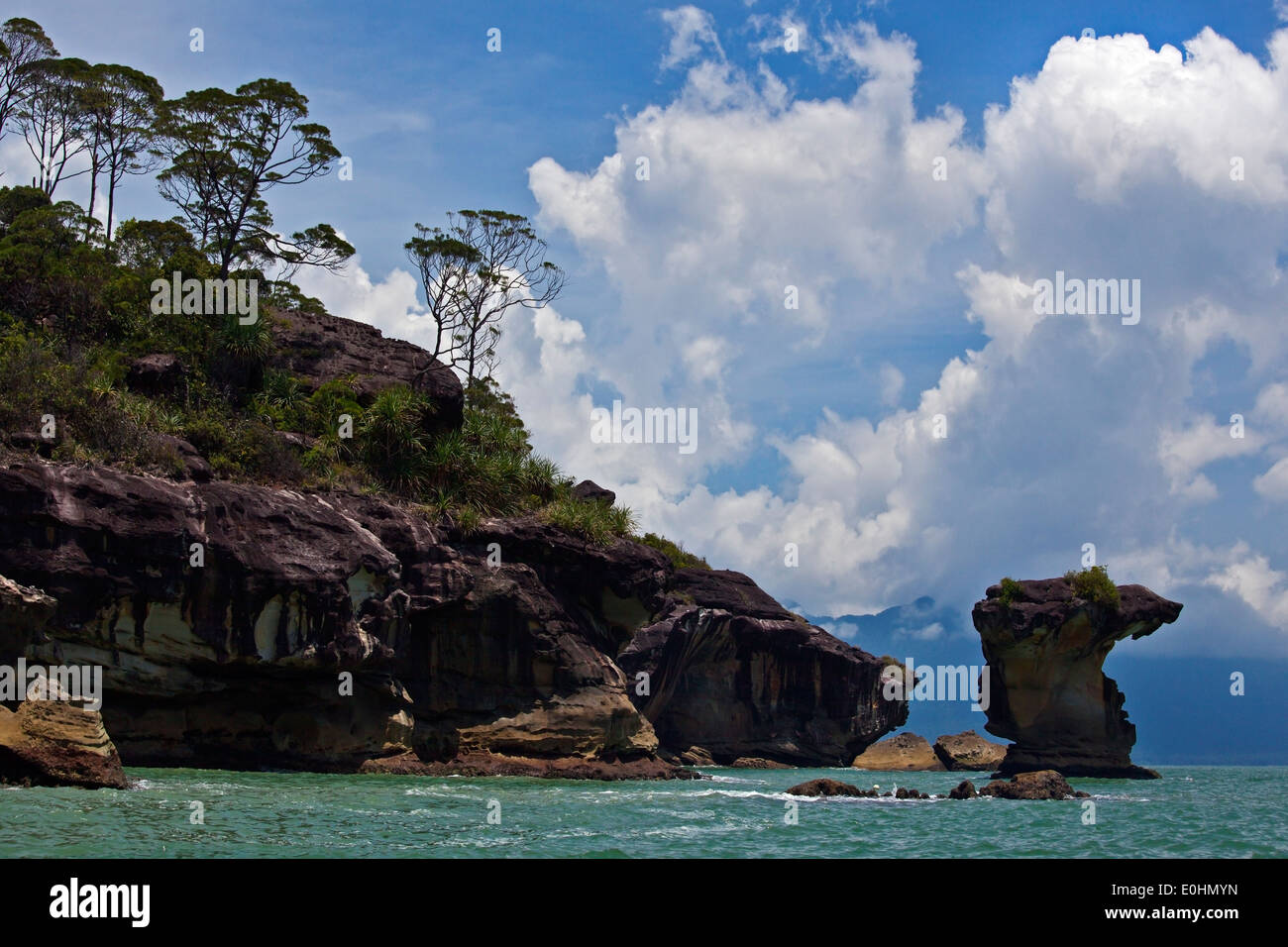 SEASTACKS along the coastline in BAKO NATIONAL PARK which is located in ...