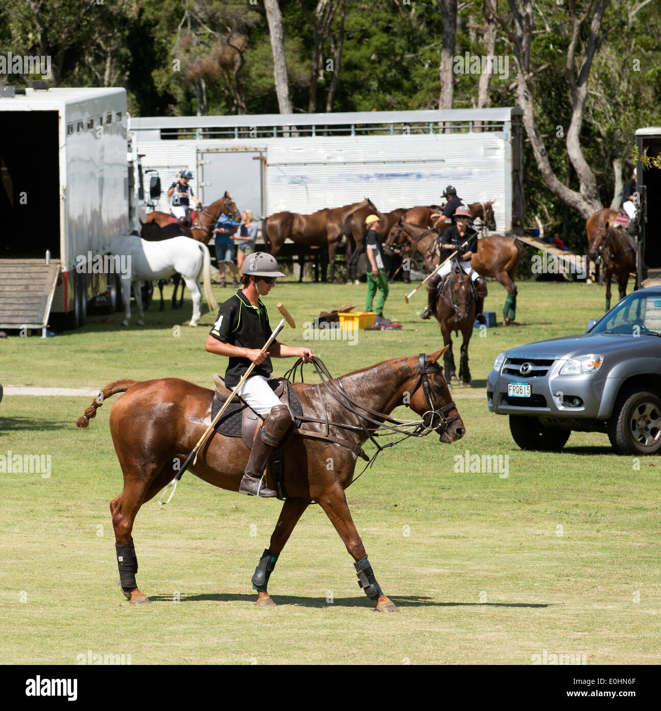 Polo grounds activity hi-res stock photography and images - Alamy