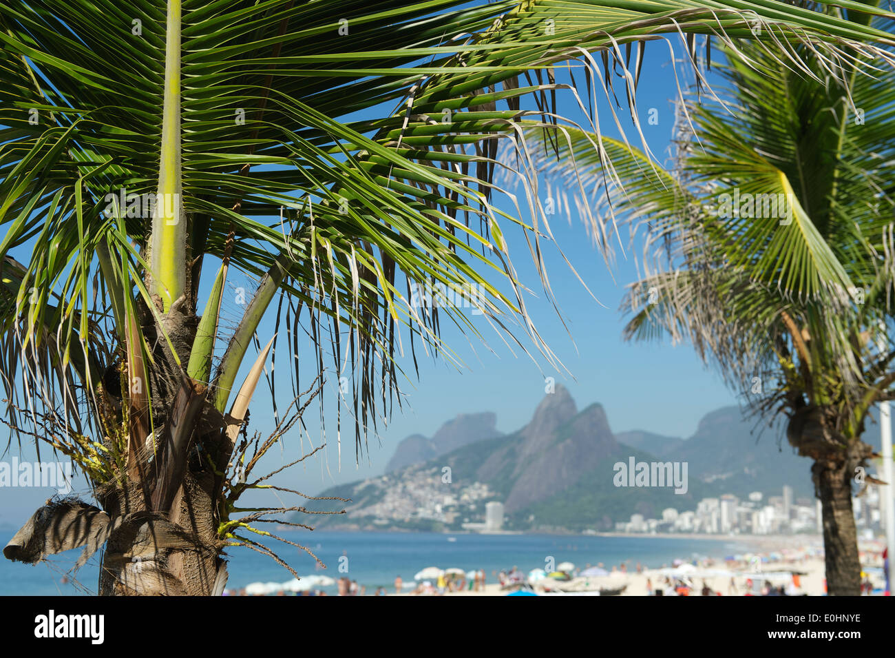 Ipanema Beach Rio de Janeiro Brazil view with palm trees at Arpoador ...
