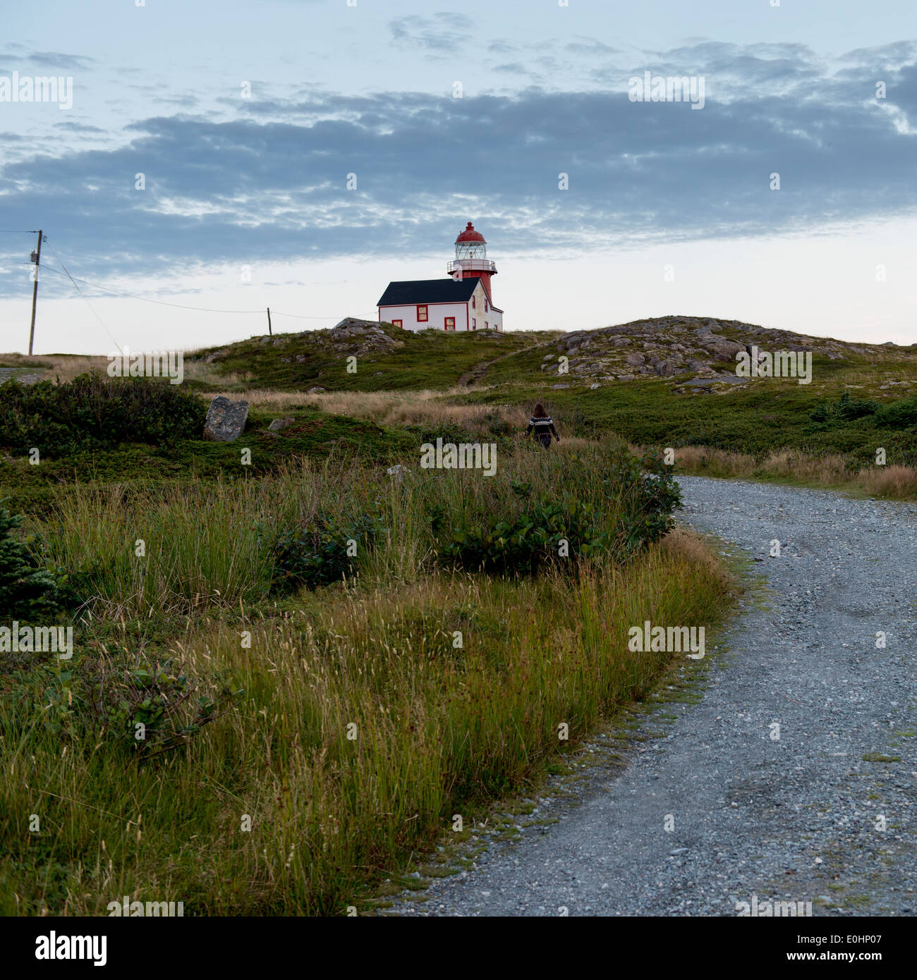 Avalon peninsula newfoundland hi-res stock photography and images - Alamy