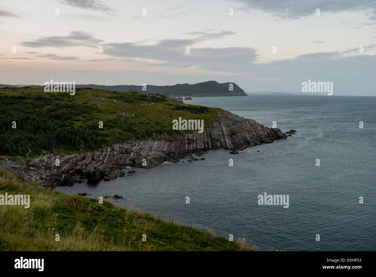 Avalon peninsula hi-res stock photography and images - Alamy