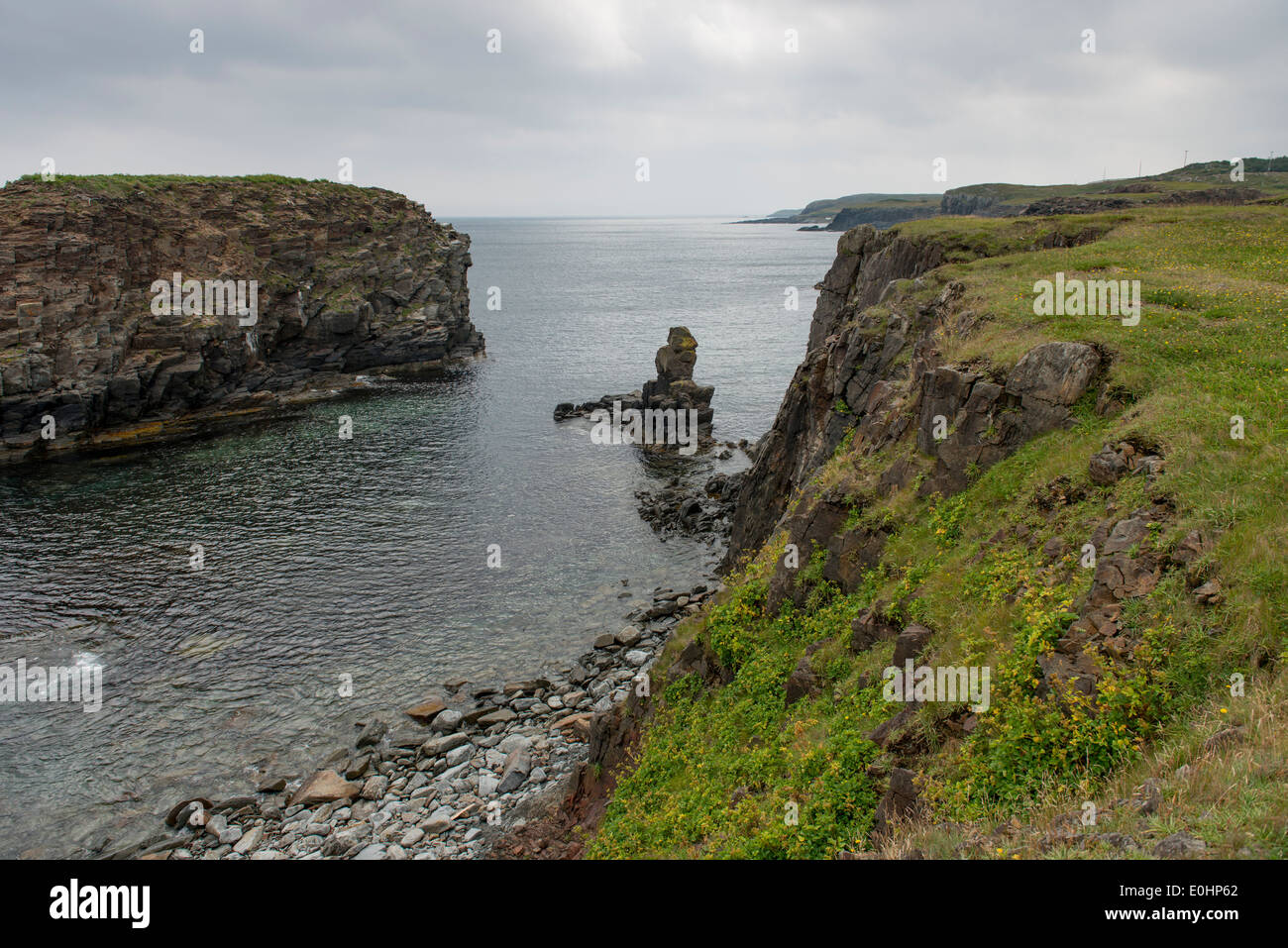 View of coast, Little Catalina, Bonavista Peninsula, Newfoundland And ...