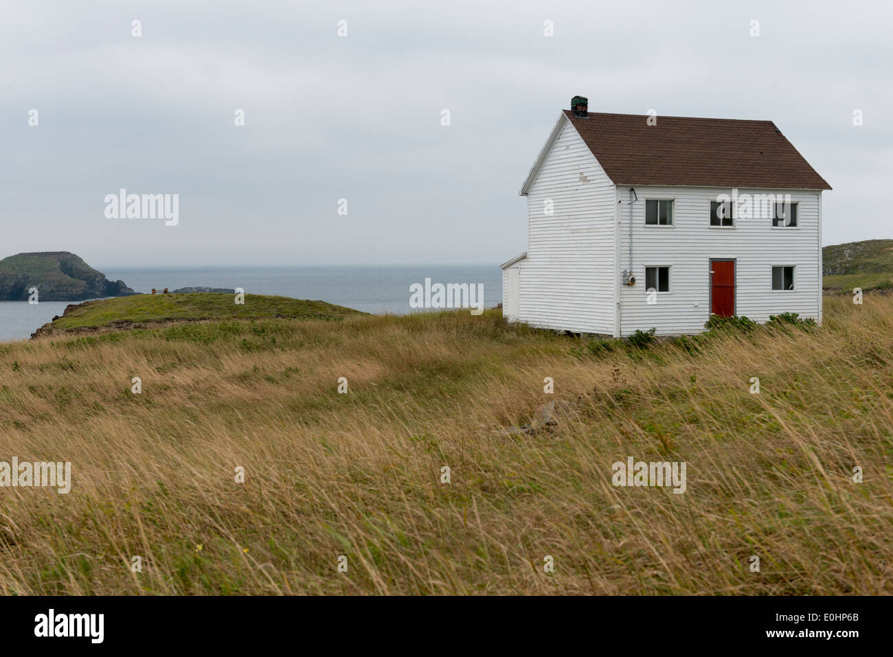 Catalina newfoundland hi-res stock photography and images - Alamy