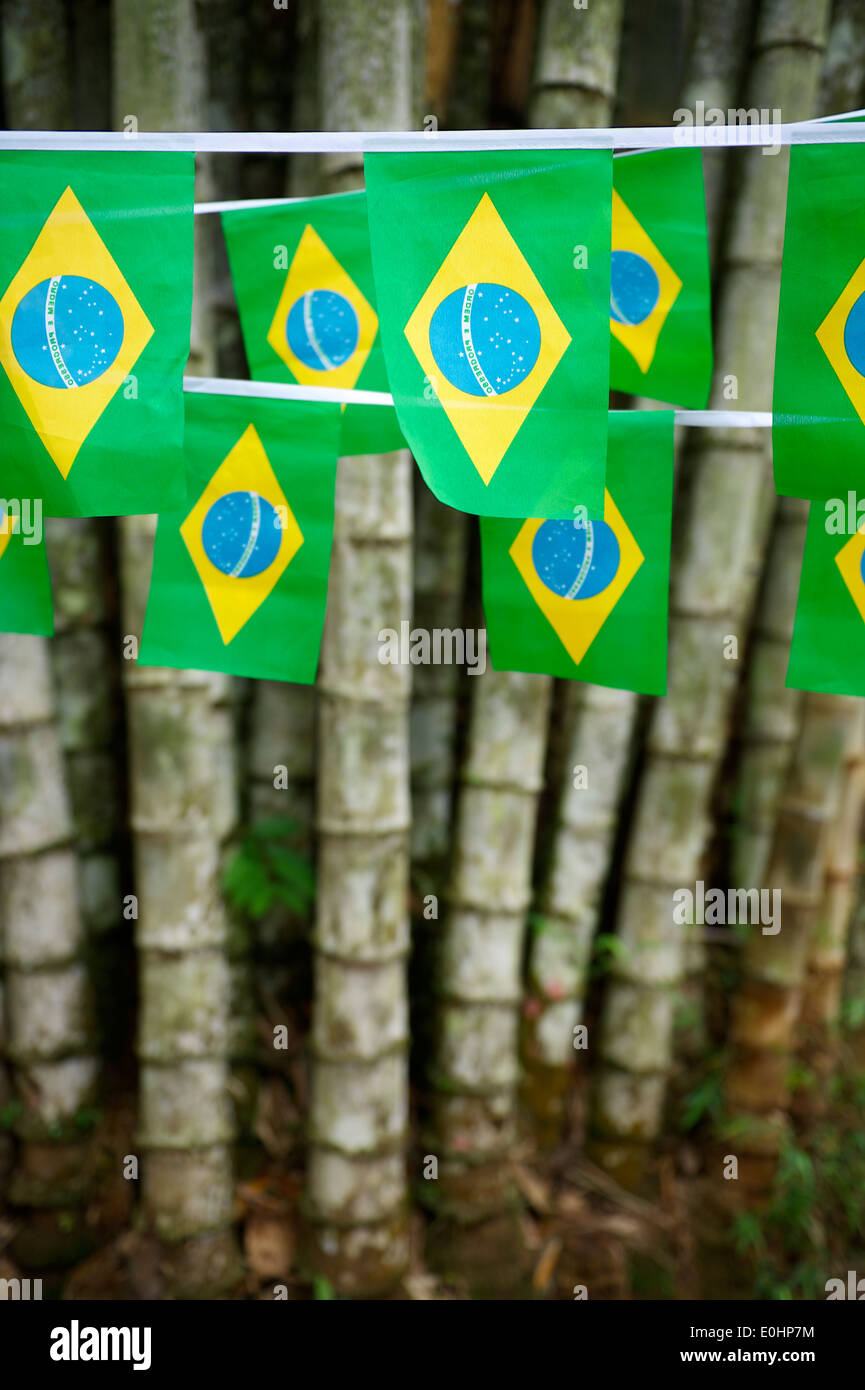 Celebration Brazilian flag bunting hanging in bamboo jungle background ...