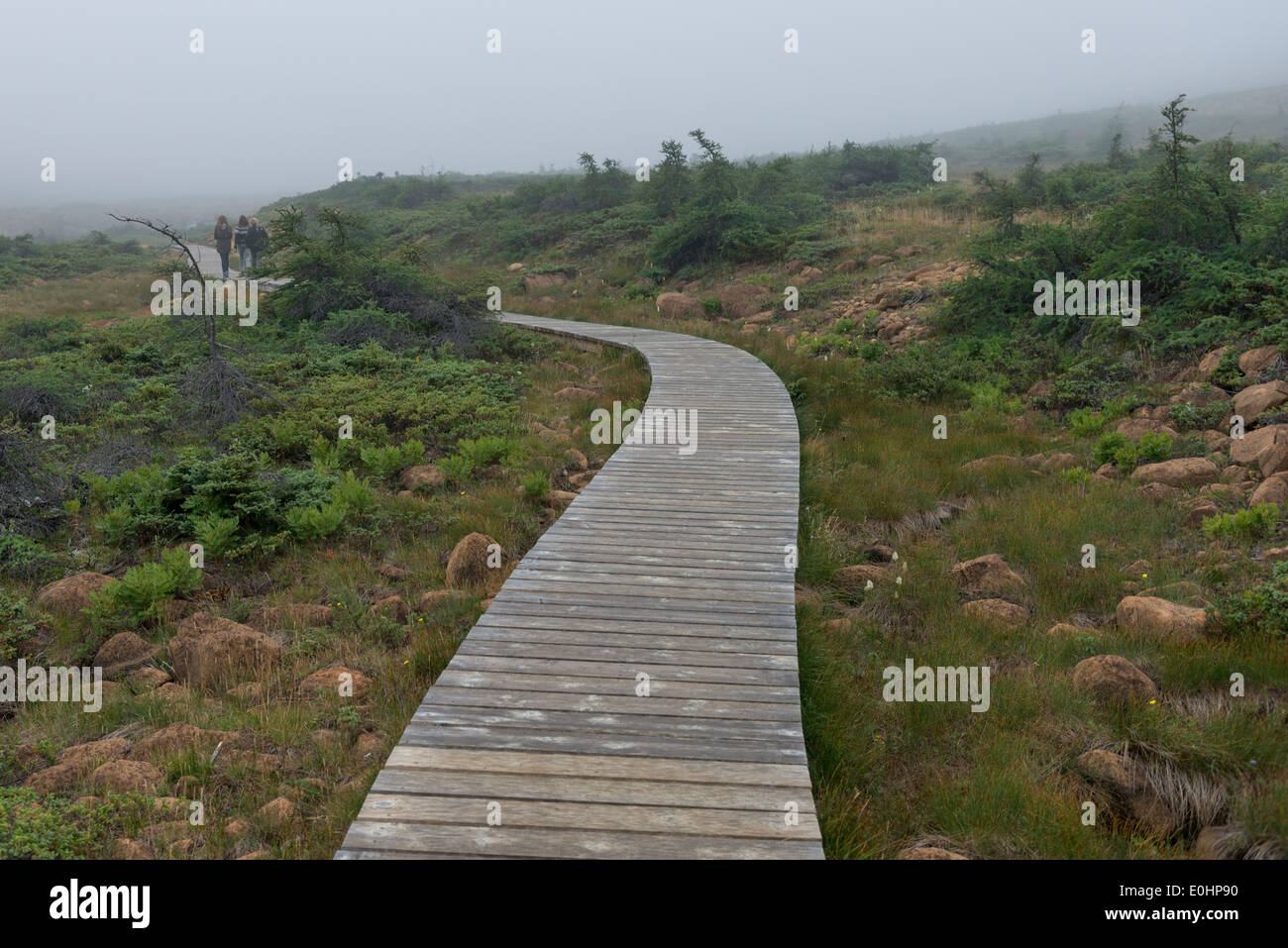 Boardwalk at Division No. 9, Subd. A, Gros Morne National Park ...