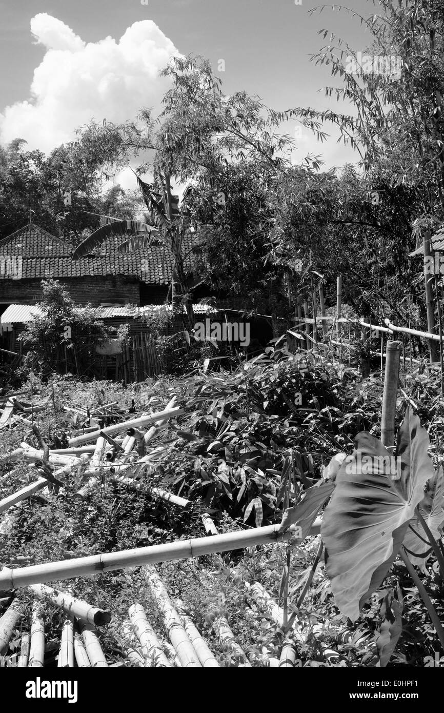 Rural indonesia village hi-res stock photography and images - Alamy