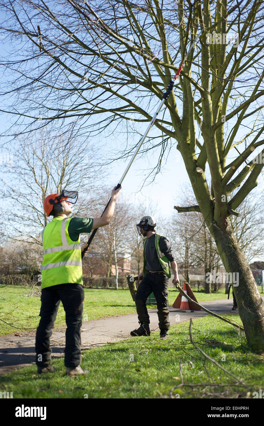 Forestry workers hi-res stock photography and images - Alamy